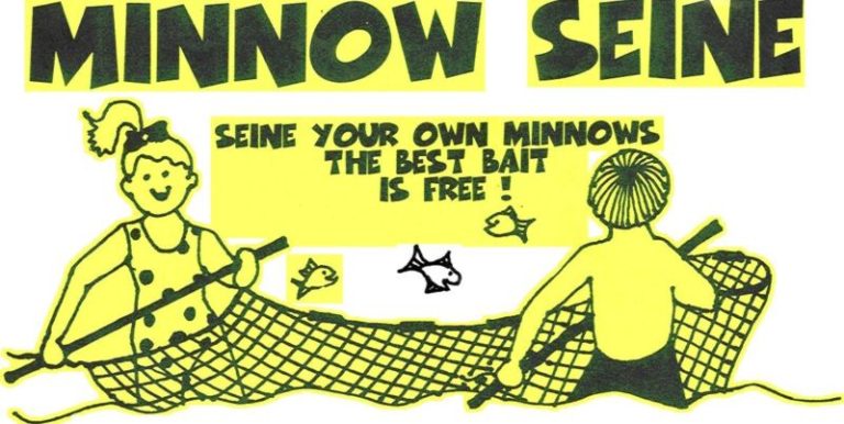 1/4" Nylon Minnow Seines -4 feet deep x 20 feet long - Douglas Net Company